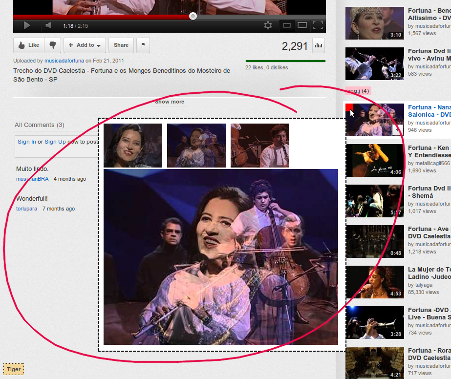 Tiger -- The browser extension
